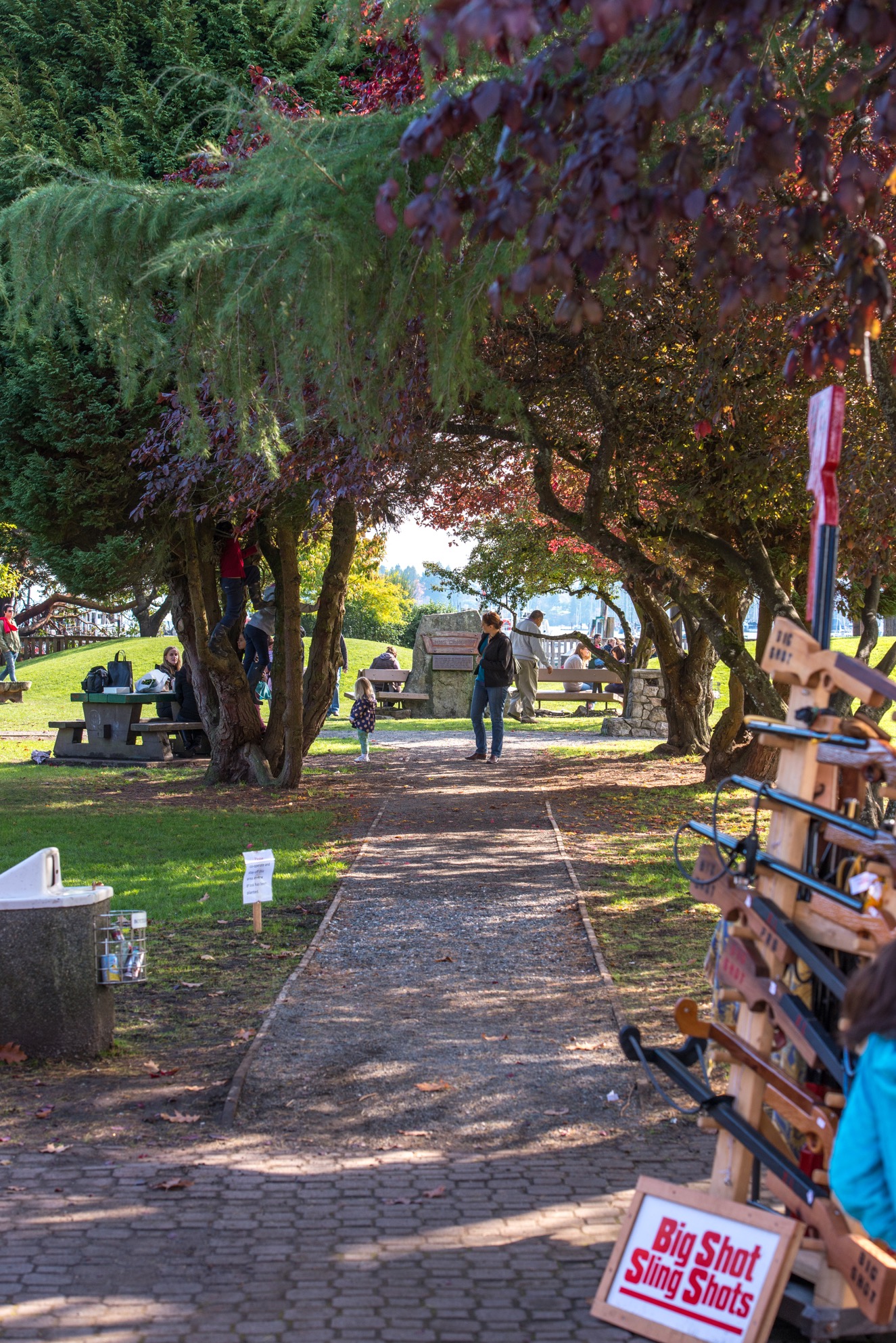 July 2020, Salt Spring Island Market Analysis - Salt Spring Island Real ...