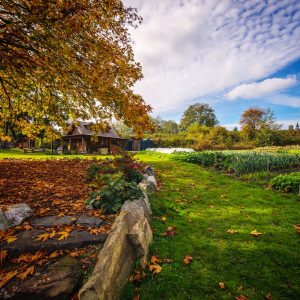 Salt Spring Island Real Estate | Li Read Group