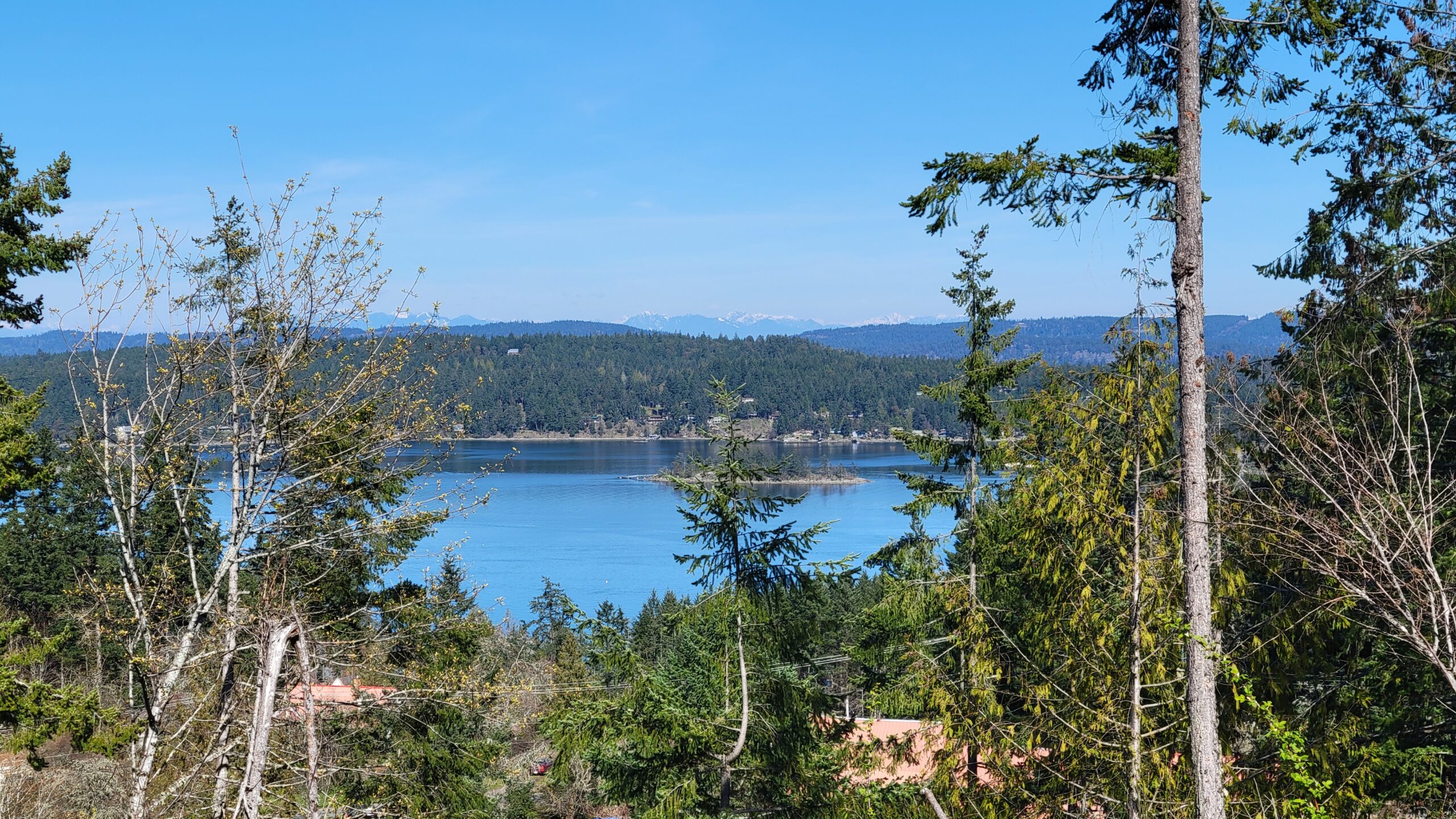 20 Acre Opportunity - Salt Spring Island Real Estate